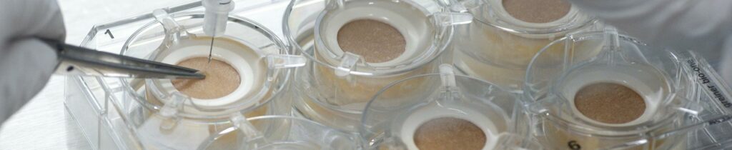 Human skin to predict clinical trial outcomes | Genoskin