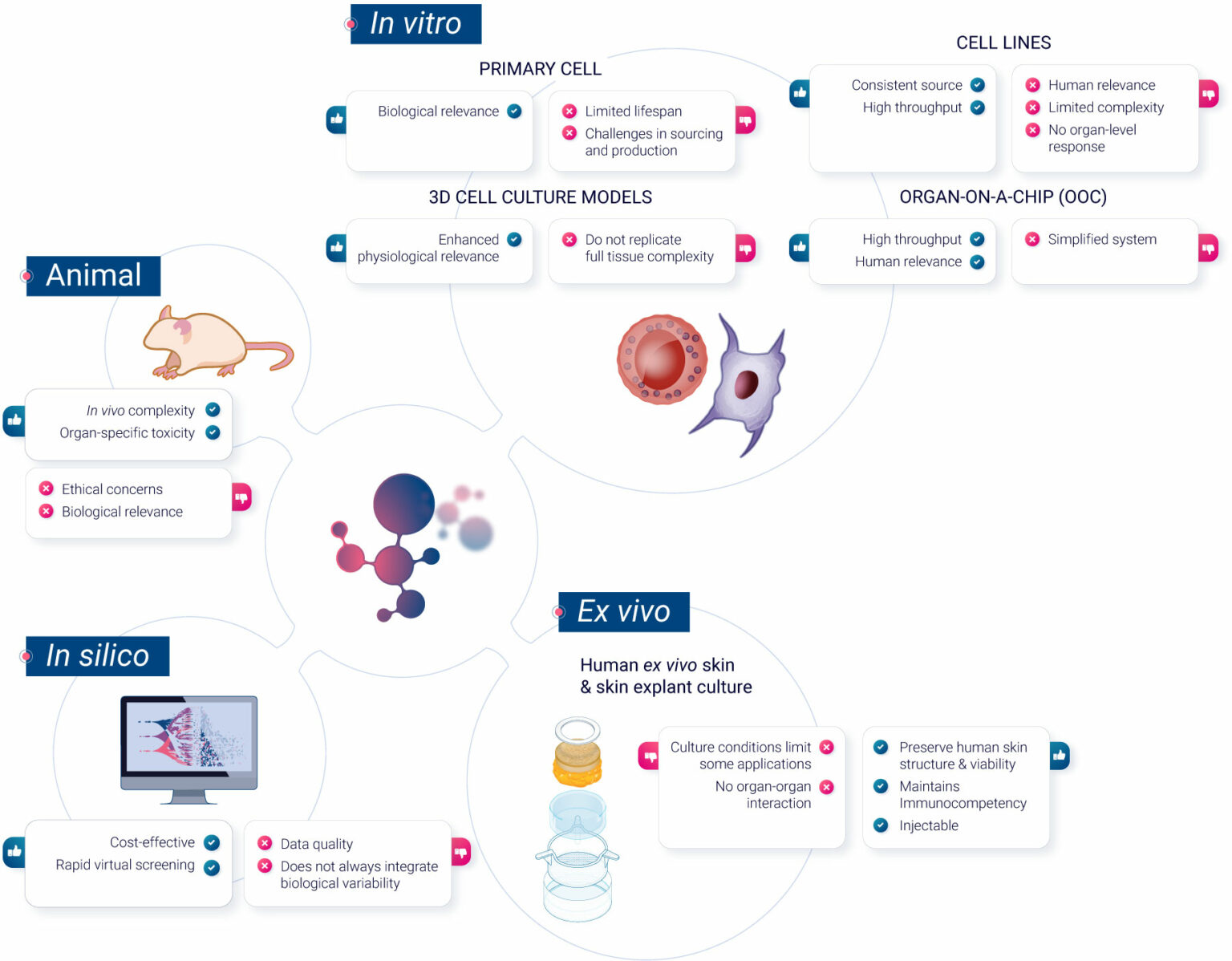 The role of animal-free non-clinical platforms in drug development ...