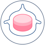 Local Tolerance Studies | Genoskin